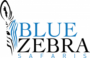 Blue Zebra Safaris - Travel Agency, Tour Operator in Maun. Company ...